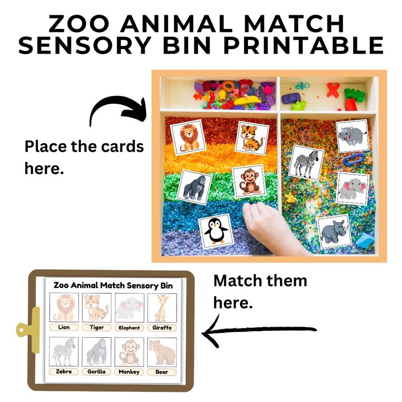 Zoo Animal Matching Cards | Sensory Bin Activity (PDF) - Etsy