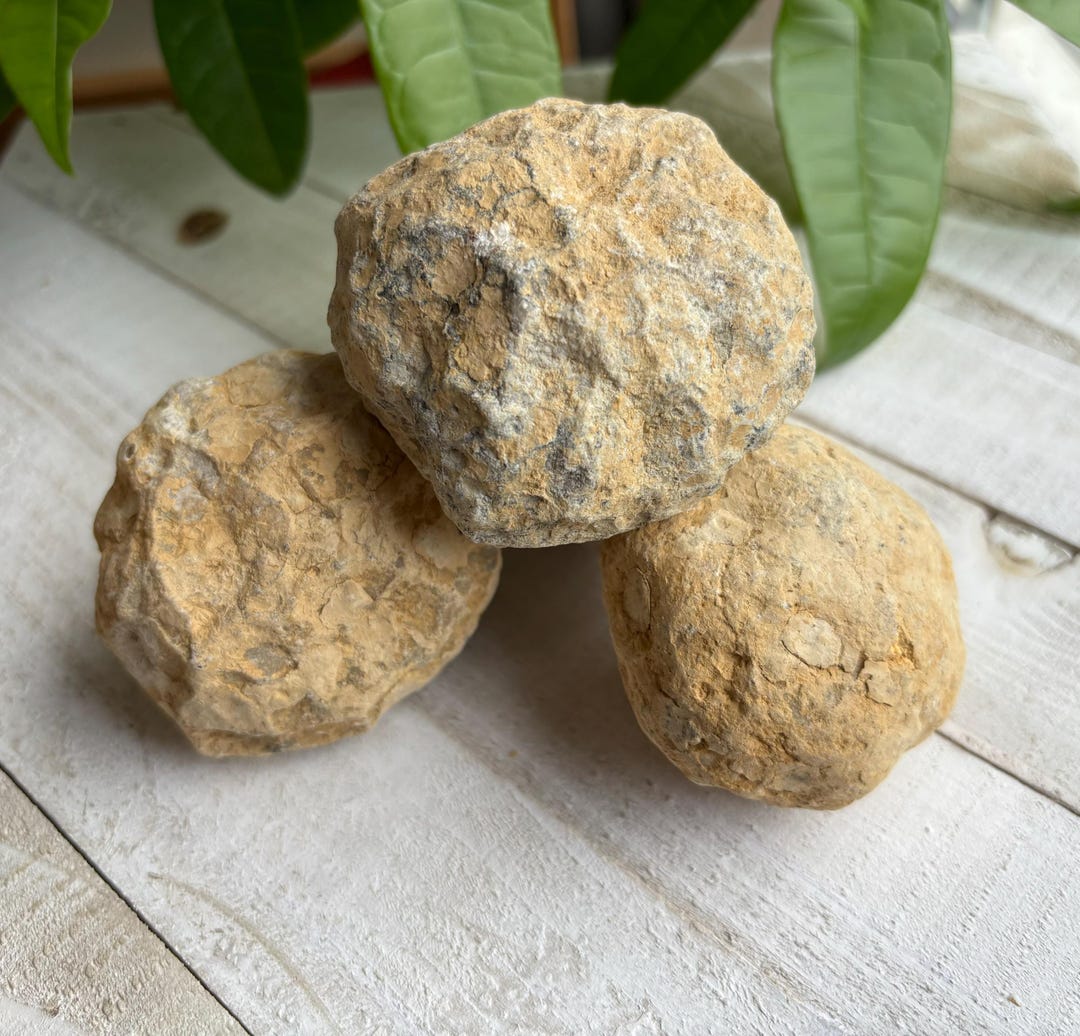 Break Your Own Geode, Geode, Geode Quartz, Gift for Kids, Gift for Her ...