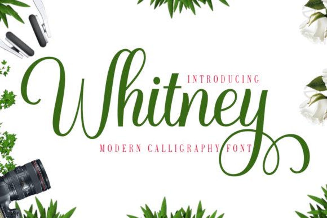Whitney Font: Elegant Handwritten Script for Logos & Invitations - Etsy