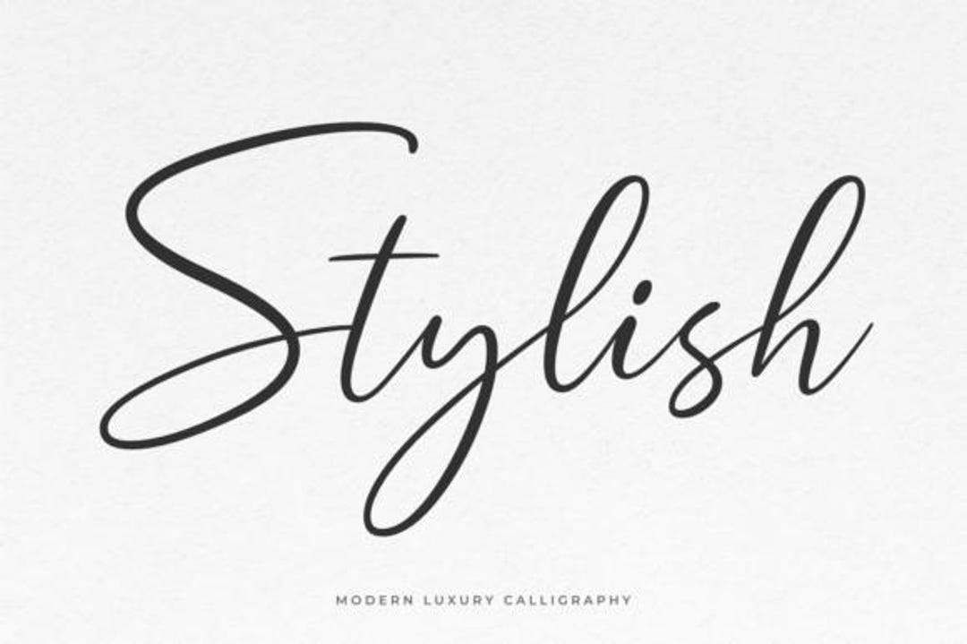 Stylish Calligraphy Font | Modern Graceful Script for Branding ...
