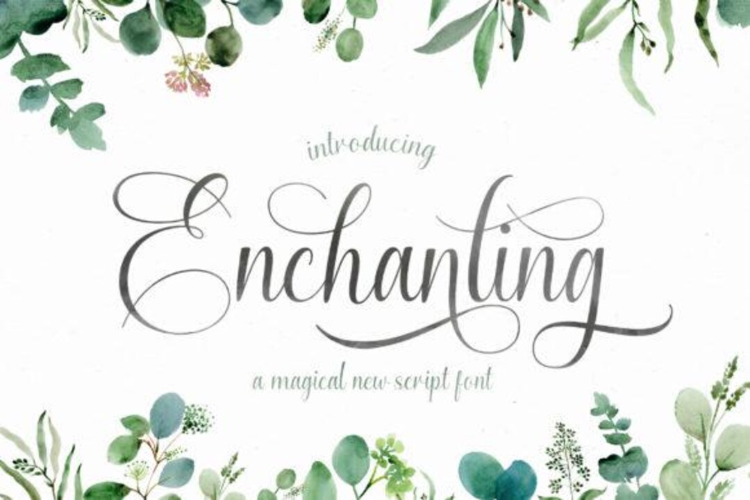 Enchanting Script Handwritten Font Elegant & Timeless PUA Encoded ...