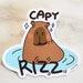 Capy Rizz, Capybara Sticker, Cute, Funny, Fun Sticker, Waterproof ...