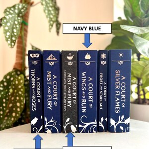 A Court of Frost and Starlight Rebound Book | Special Edition ACOFAS ...