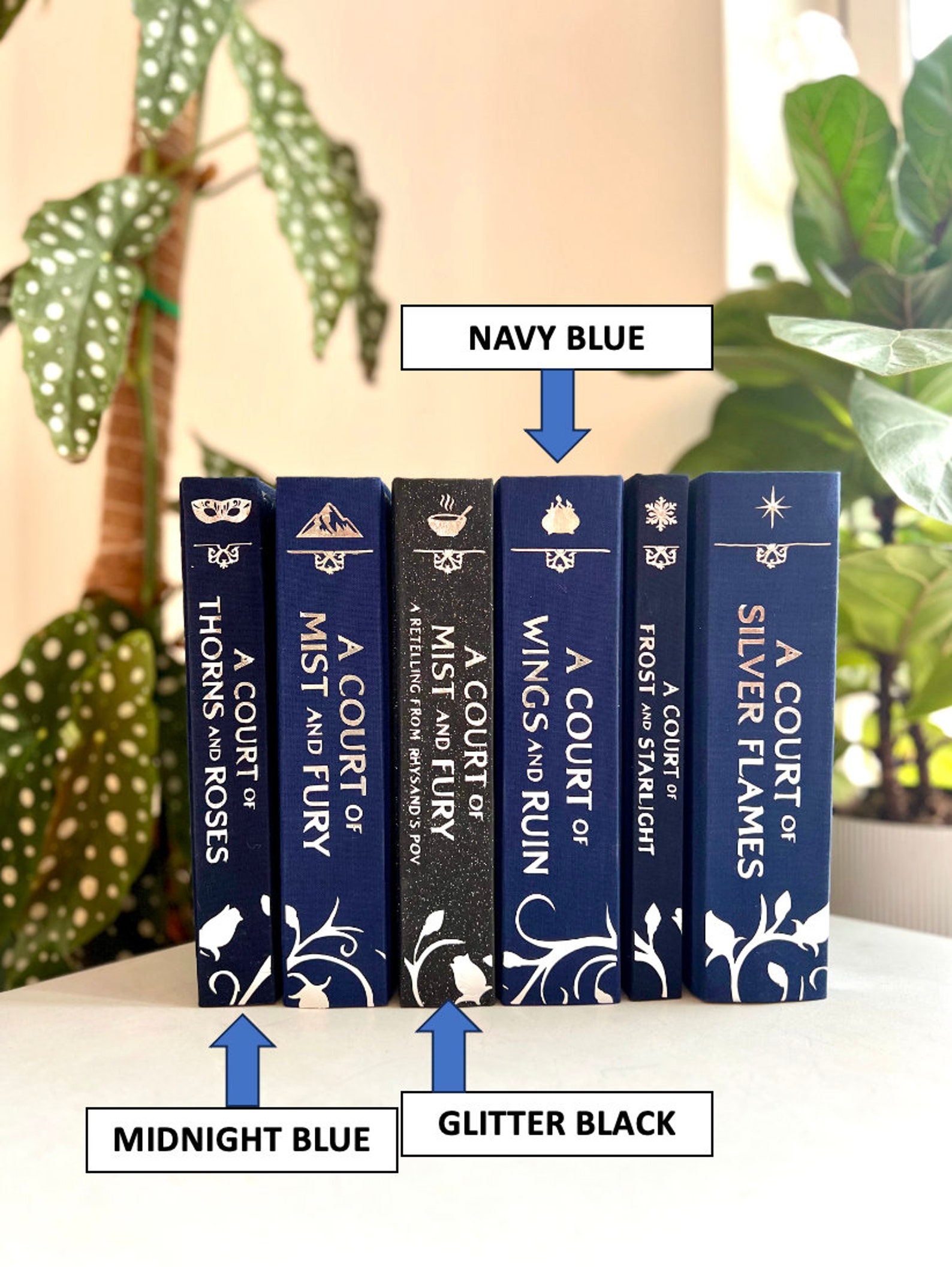 A Court of Mist and Fury Rebound Book | Special Edition ACOMAF ...