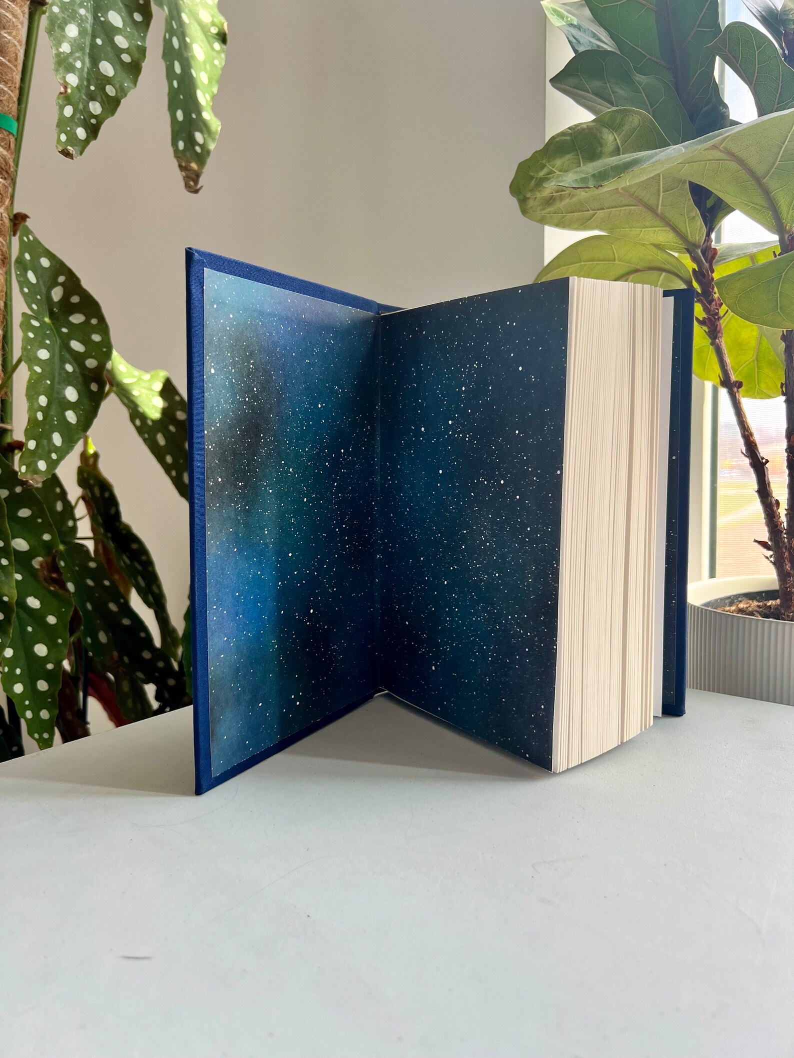 A Court of Mist and Fury Rebound Book | Special Edition ACOMAF ...