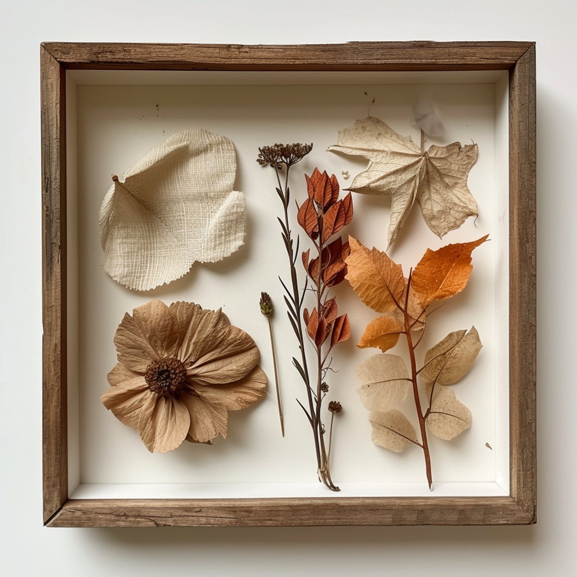 DIY Plant Specimen Frame Creations - Etsy