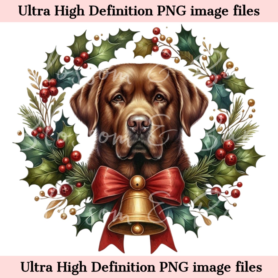 Digital Christmas Chocolate Lab PNG Holiday Dog Art - Hunting Dog Mom ...