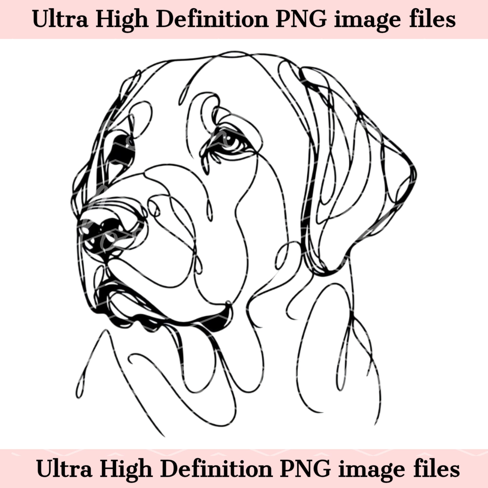 Digital Sketch Line Labrador Retriever PNG File Beautiful Ink Line Art ...
