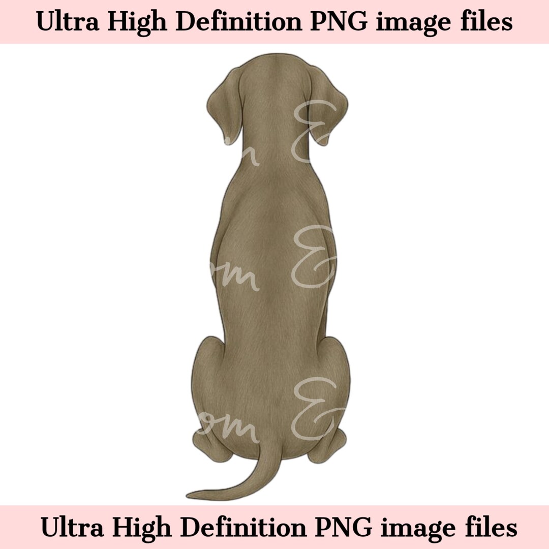 Digital - Back View Weimaraner Dog PNG Weimaraner Memorial Clipart for ...