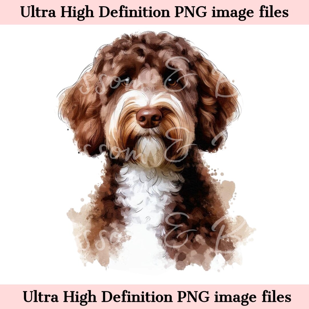 Digital Brown Doodle Dog PNG Beautiful Labradoodle PNG - Dog Art PNG ...
