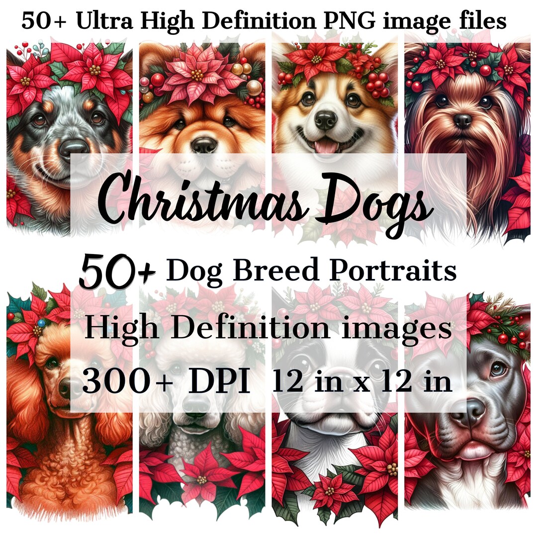 Digital Floral Christmas Dog Bundle - Dog Breed Png Bundle - Holiday ...