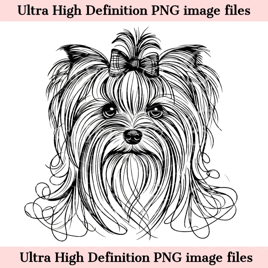Digital Sketch Line Yorkshire Terrier PNG File Beautiful Ink Line Art ...