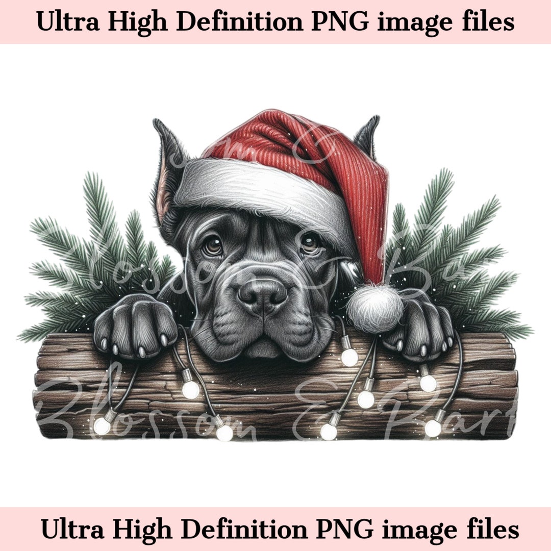 Digital Peeking Cane Corso PNG Christmas PNG - Holiday PNG Download for ...
