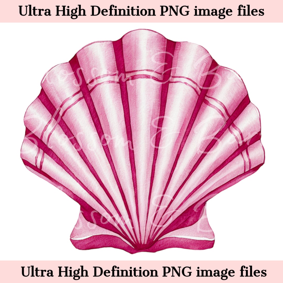 Digital Pink Seashell PNG Simple Summer PNG - Clip Art Download for ...