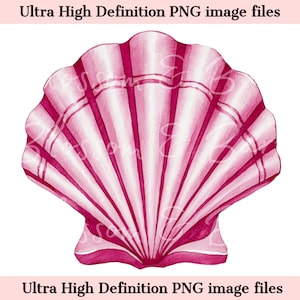 Digital Pink Seashell PNG Simple Summer PNG - Clip Art Download for ...