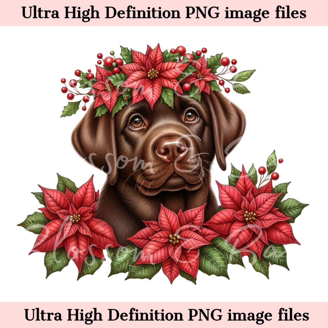 Digital Christmas Chocolate Labrador PNG Holiday Dog Art - Labrador ...