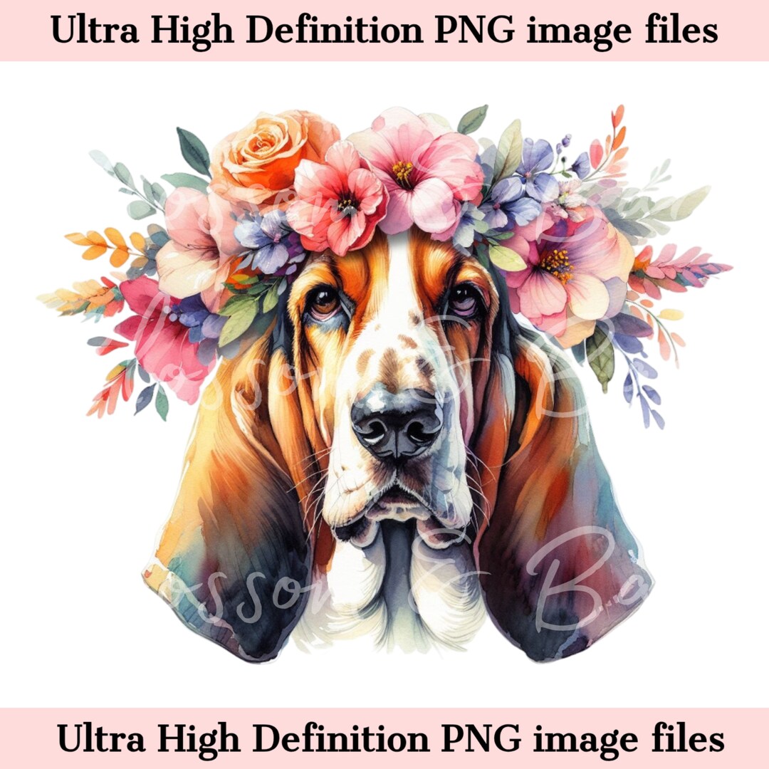Digital Basset Hound Dog PNG Elegant Watercolor Dog PNG- Floral PNG ...