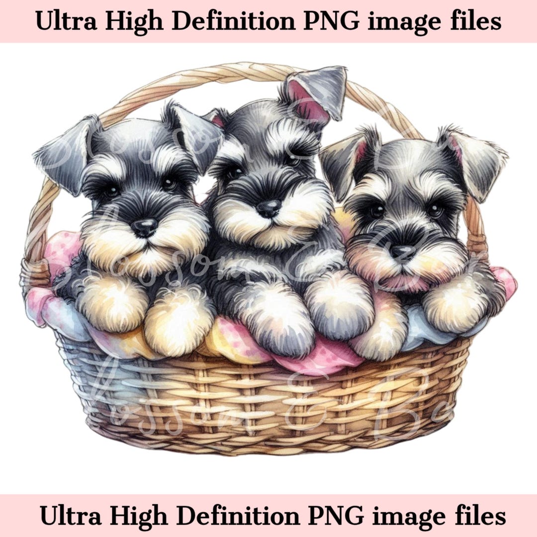 Digital Easter Schnauzer PNG Printable Dog Portrait PNG - Miniature ...