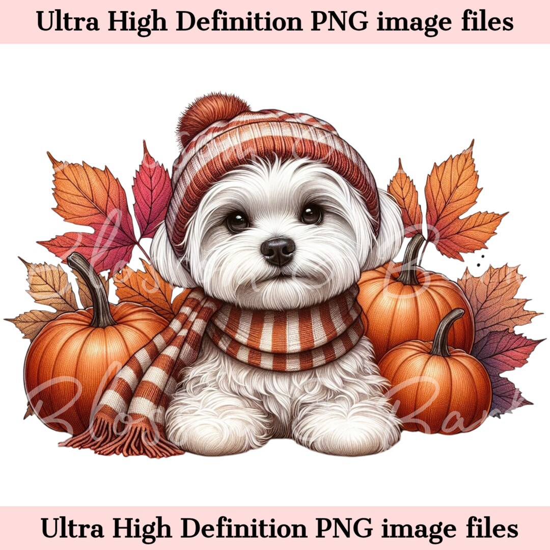 Digital Autumn Maltese Dog PNG - Cute Maltese PNG Instant Download for ...