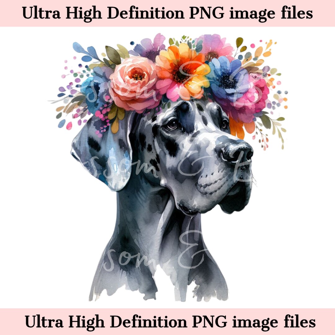 Digital Great Dane PNG Elegant Watercolor Dog PNG- Floral PNG ...