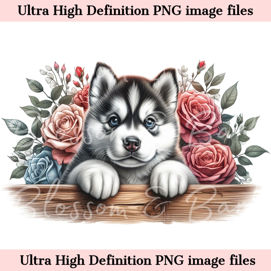 Digital Peeking Siberian Husky PNG With Roses - Floral Dog Breed PNG ...