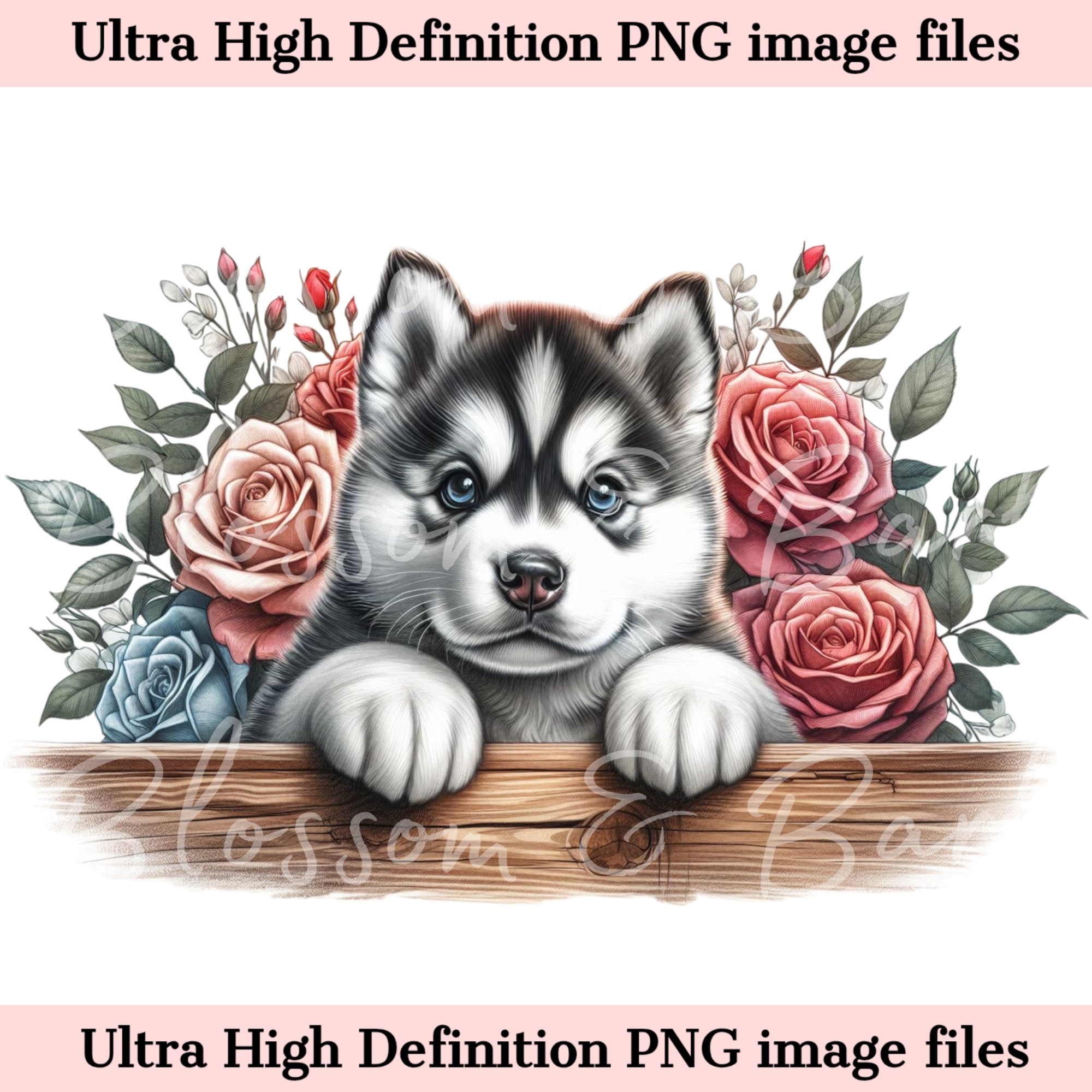 Digital Peeking Siberian Husky PNG With Roses Floral Dog Breed PNG for ...