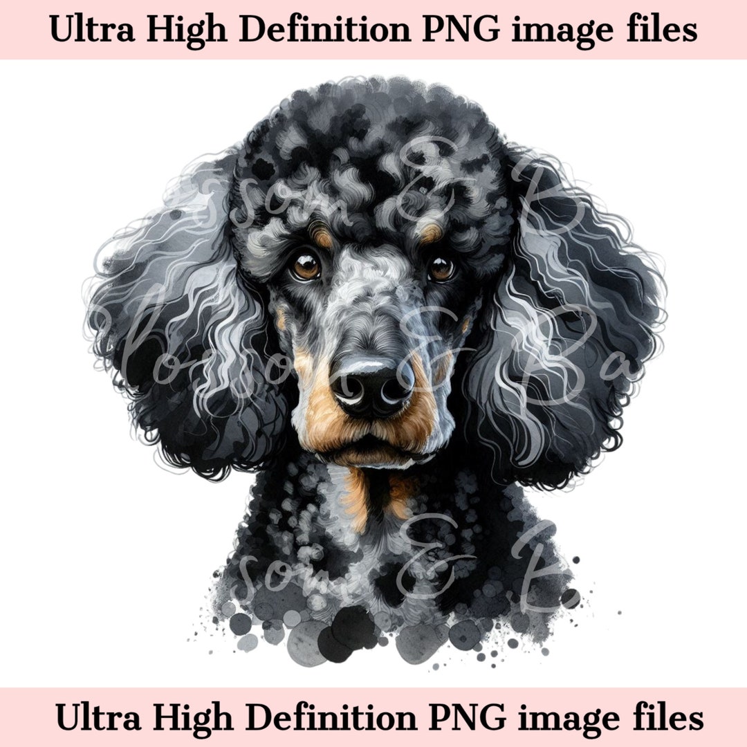 Digital Standard Poodle PNG Printable Dog Portrait PNG - Phantom Merle ...