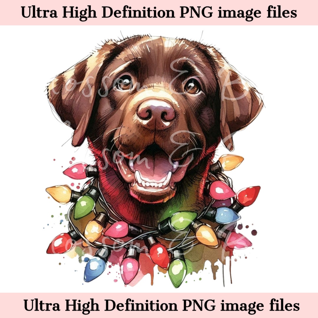 Digital - Cute Chocolate Labrador PNG Christmas Dog Portrait PNG ...