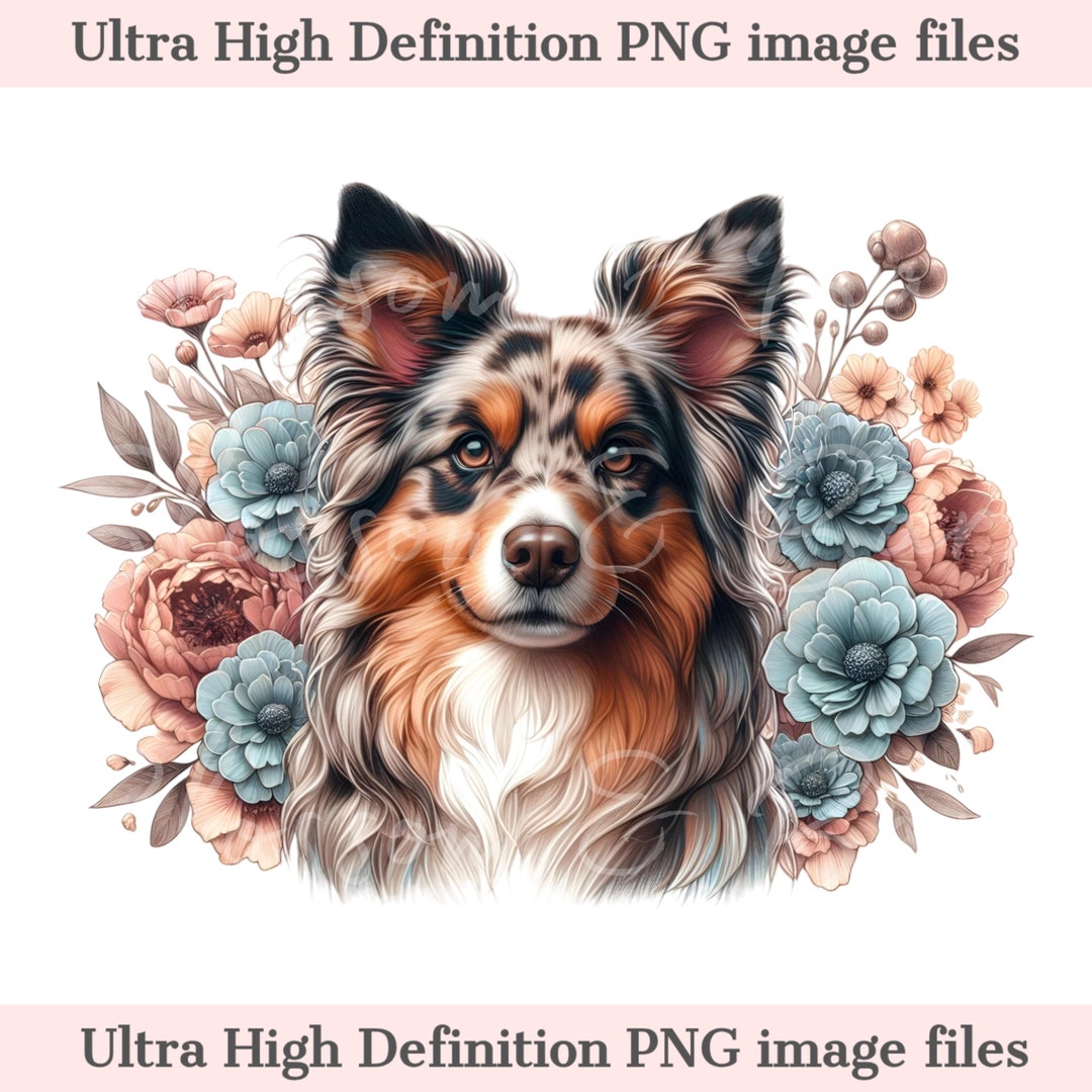 Digital Merle Australian Shepherd Dog PNG Flower Dog Art - Cute Brown ...