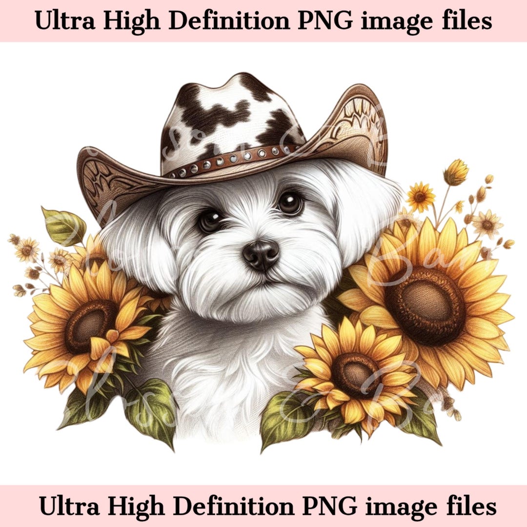 Digital Maltese PNG Beautiful Maltese Dog PNG - Cowboy Cow Print Dog ...