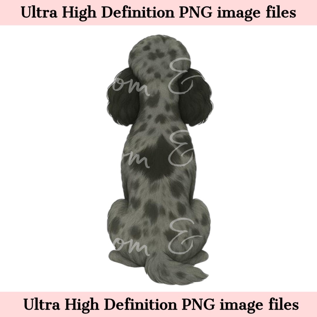 Digital - Back View Standard Poodle Dog PNG Standard Poodle Dog Clipart ...