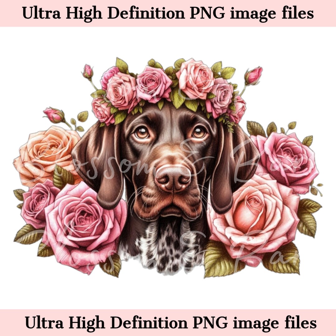 Digital German Shorthair Pointer PNG Flower Dog - GSP Dog PNG Instant ...