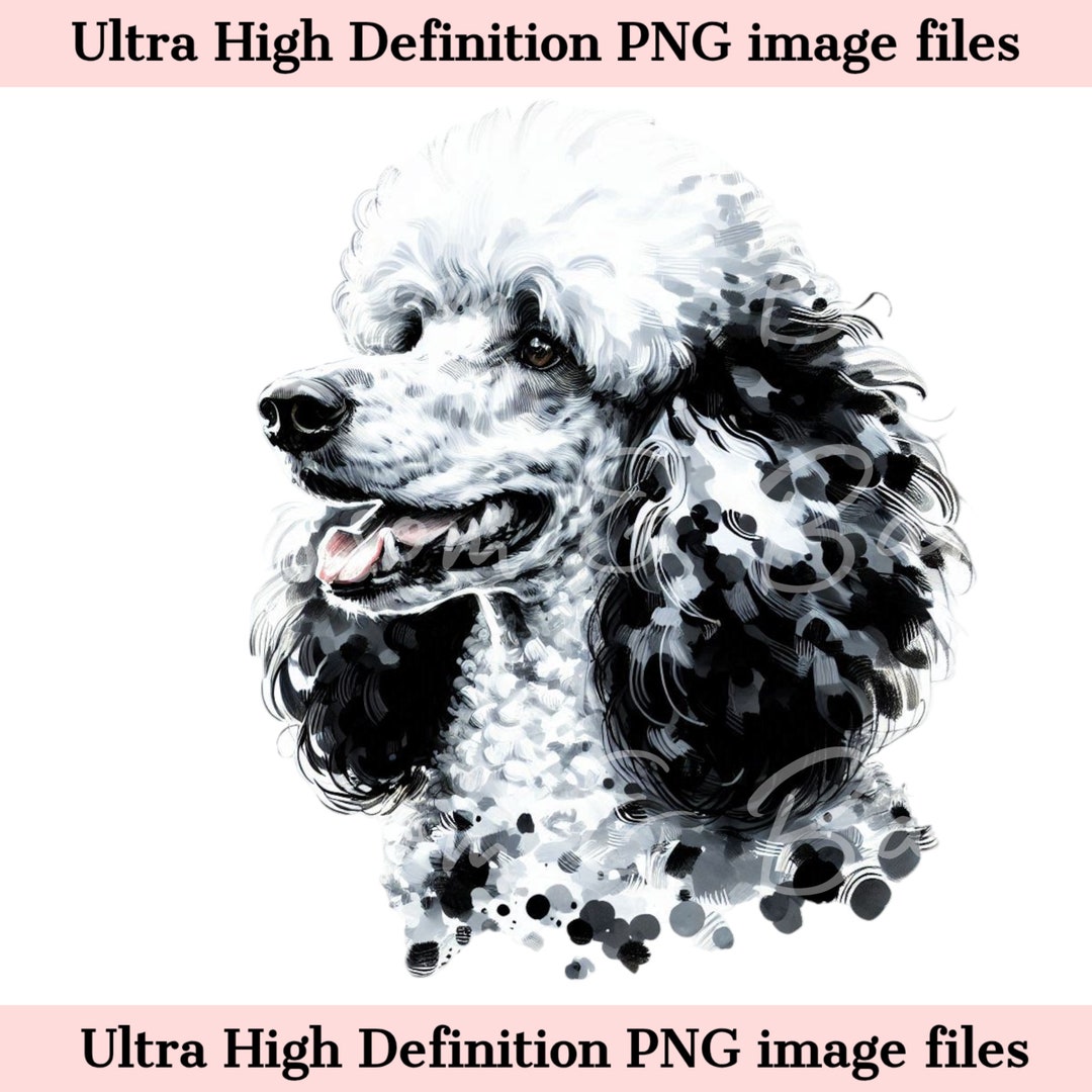 Digital Standard Poodle PNG Printable Dog Portrait PNG - Merle Poodle ...
