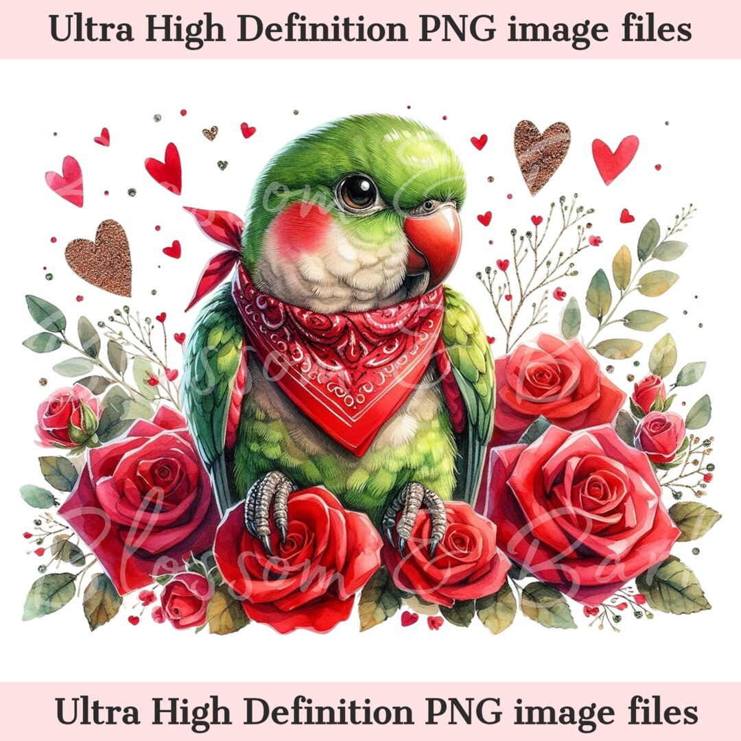 Digital Valentine's Quaker Parrot PNG Printable Bird Portrait PNG ...