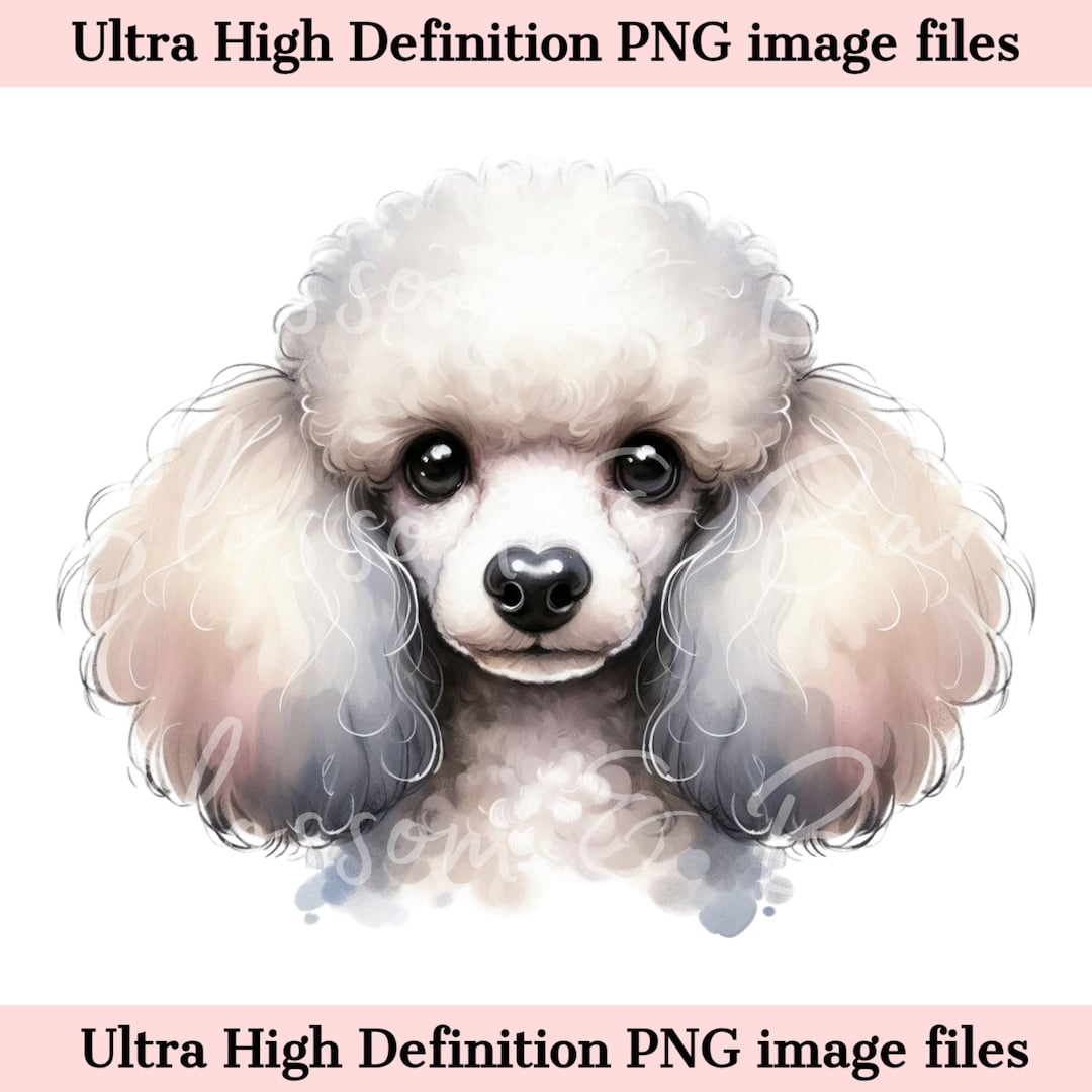 Cute Standard Poodle PNG - Instant Download for Cute Poodle Dog Mom ...