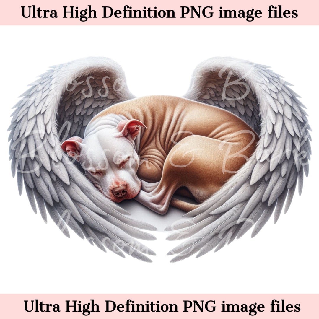 Digital Pit Bull PNG Pitbull Dog Memorial PNG - Pet Portrait With Angel ...