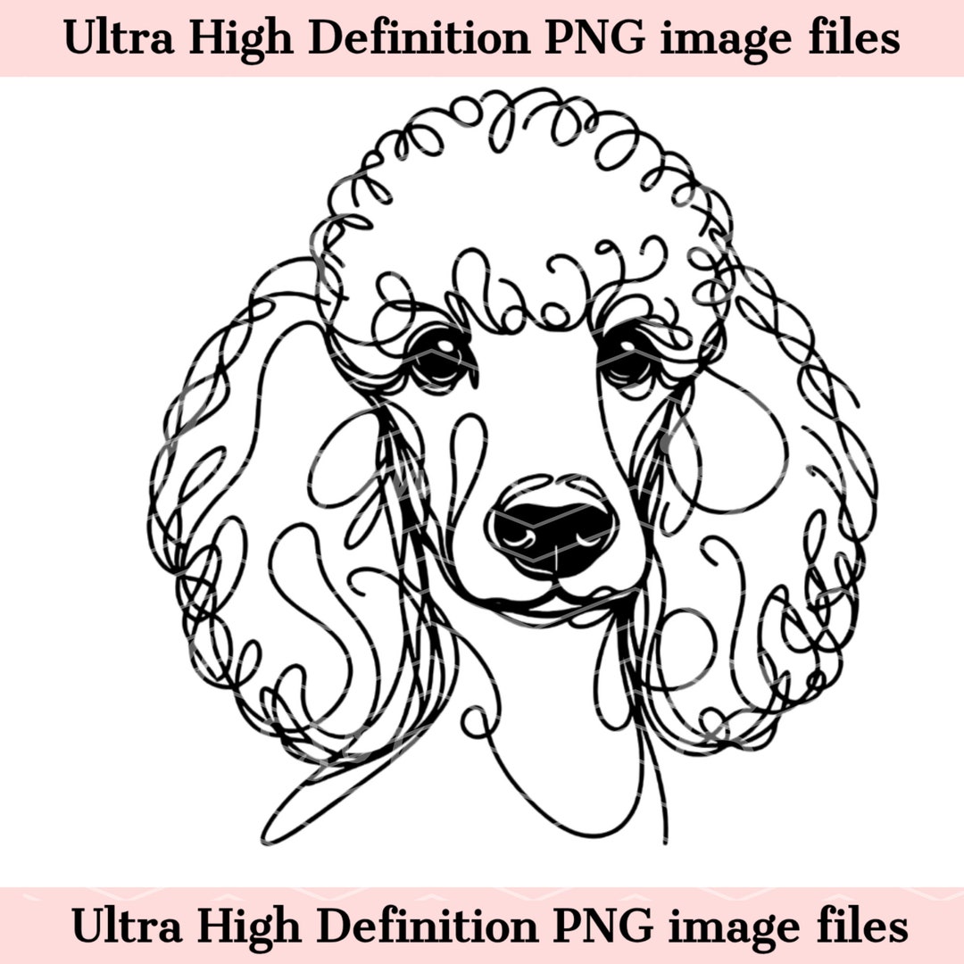 Digital Sketch Line Standard Poodle PNG File Beautiful Ink Line Art ...
