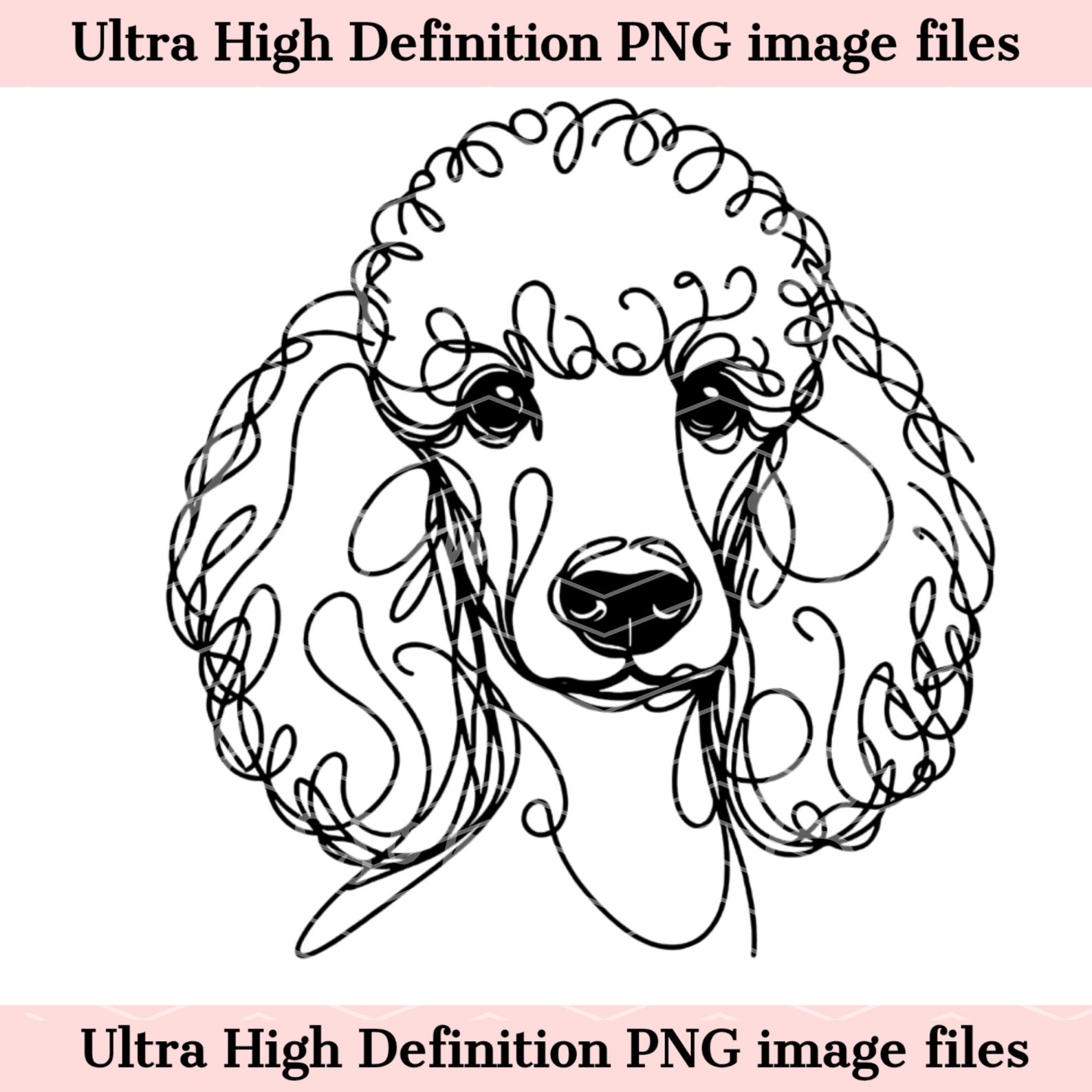 Digital Sketch Line Standard Poodle PNG File Beautiful Ink Line Art ...