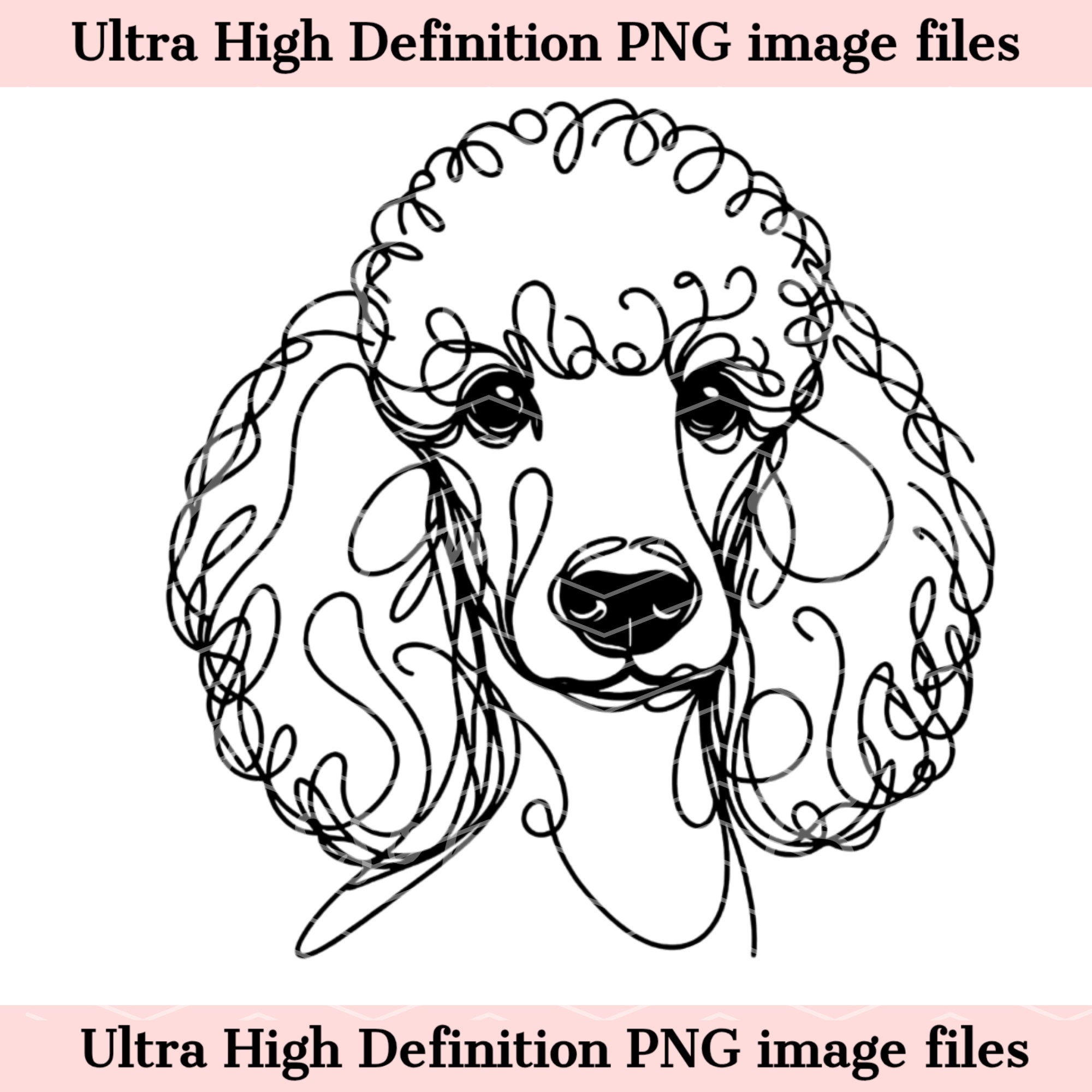 Digital Sketch Line Standard Poodle PNG File Beautiful Ink Line Art ...