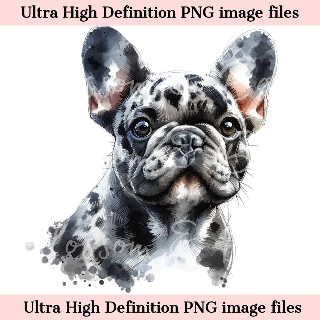 Digital French Bulldog PNG Merle French Bull Dog PNG - Watercolor ...