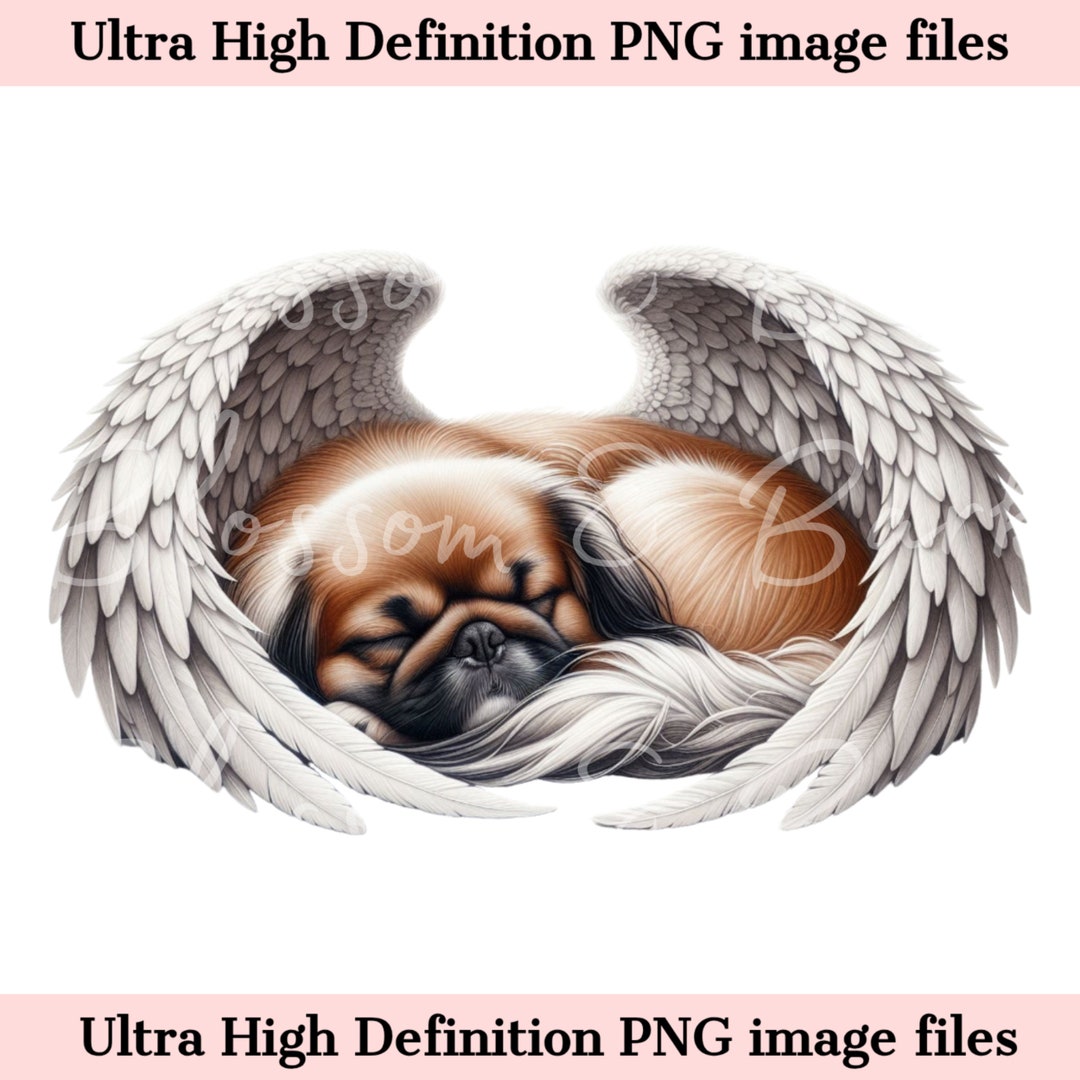 Digital Pekingese PNG Dog Memorial PNG - Pet Portrait With Angel Wings ...