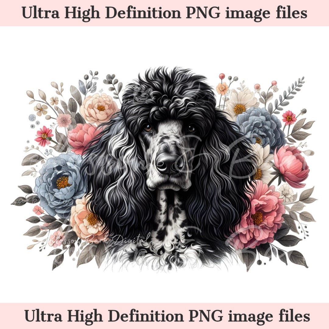 Digital Merle Poodle PNG Flower Dog - Standard Poodle Merle Puppy PNG ...