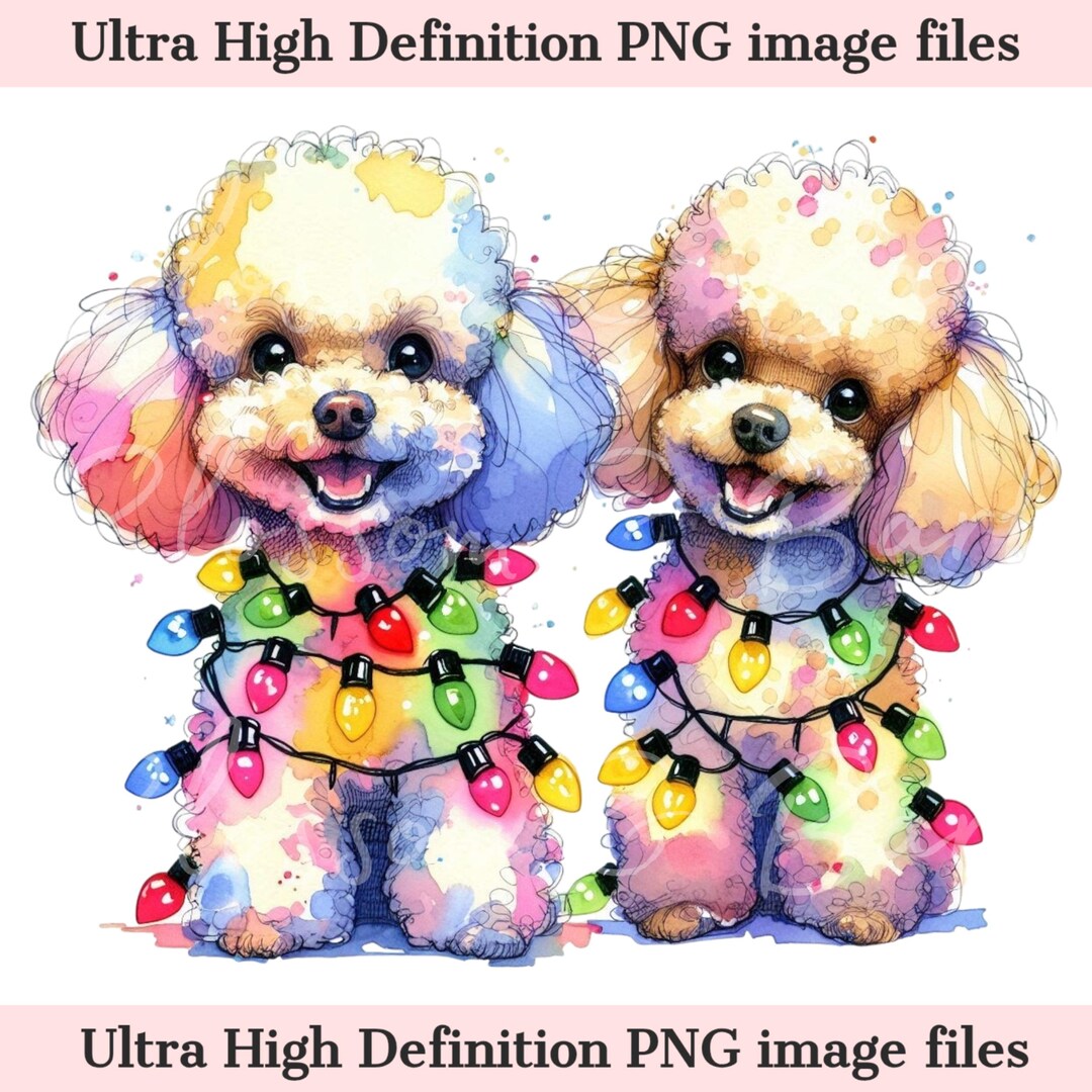Digital Cute Toy Poodles PNG Christmas Dog Portrait PNG Download for ...
