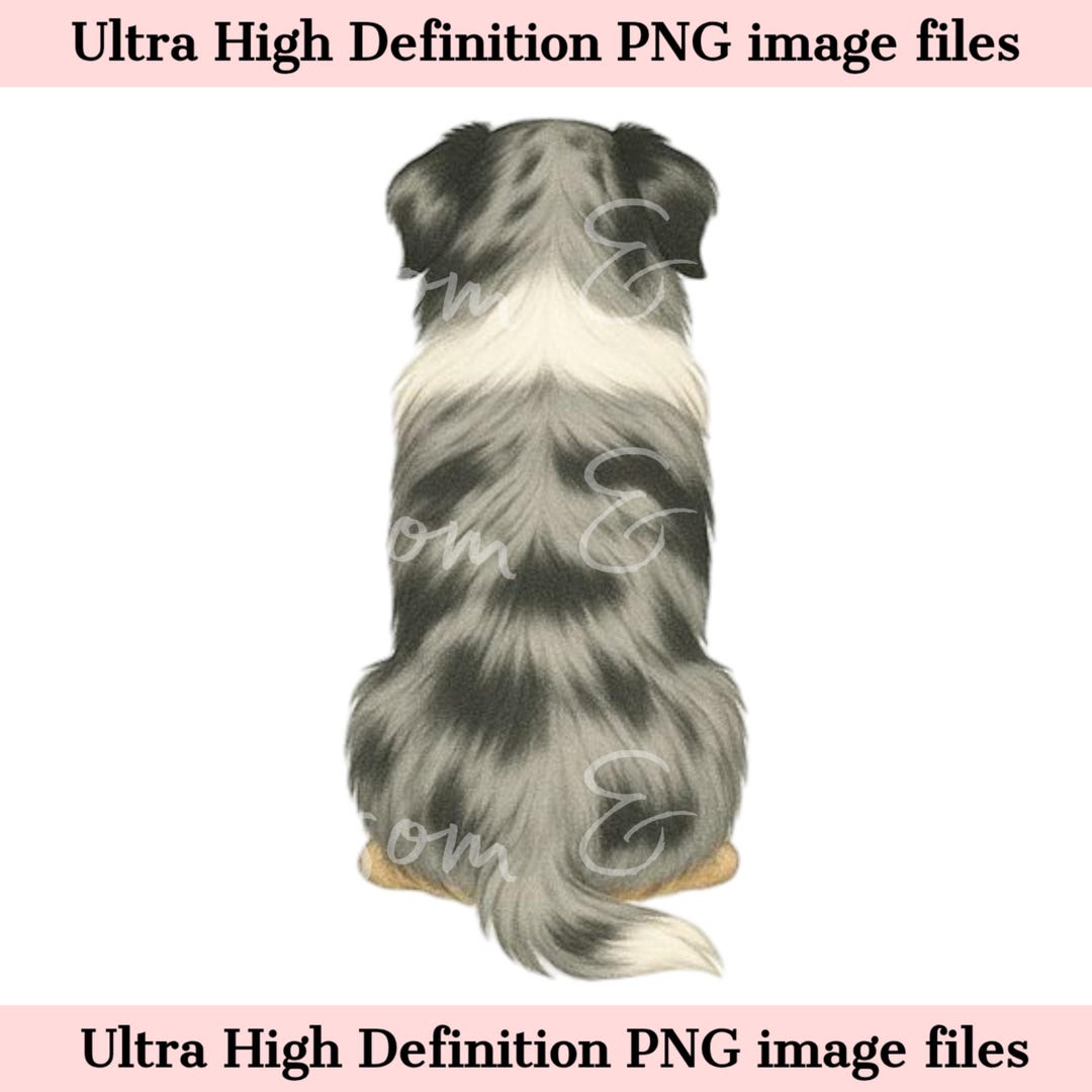 Digital - Back View Australian Shepherd Dog PNG Blue Merle Dog Memorial ...