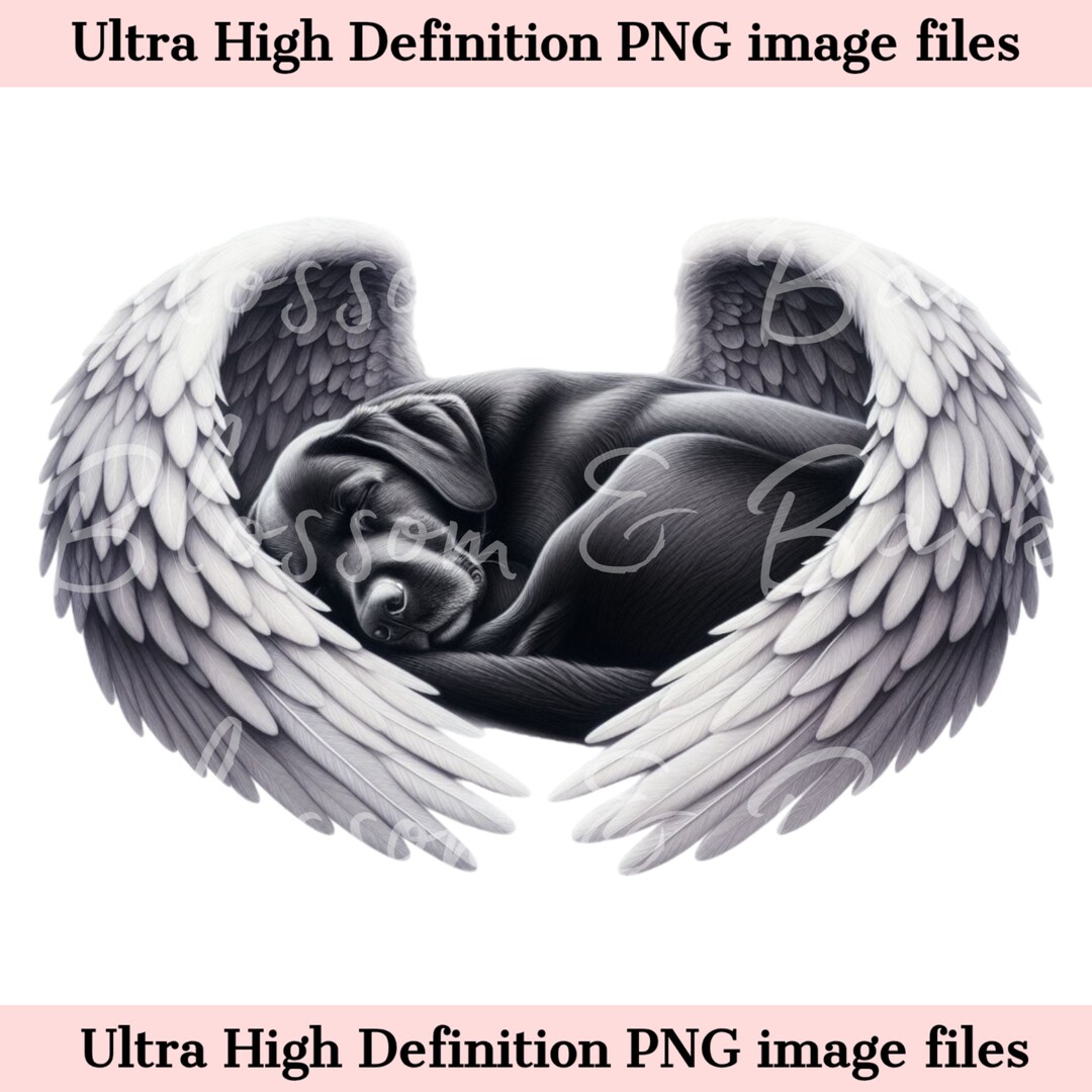 Digital Black Labrador PNG Dog Memorial PNG - Pet Portrait With Angel ...