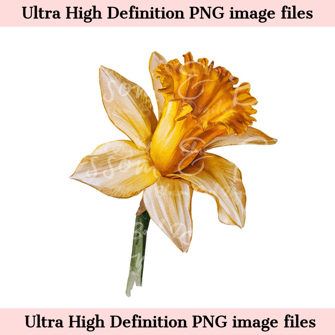 Digital Yellow Daffodil Flower PNG Simple Yellow PNG - Floral Clip Art ...