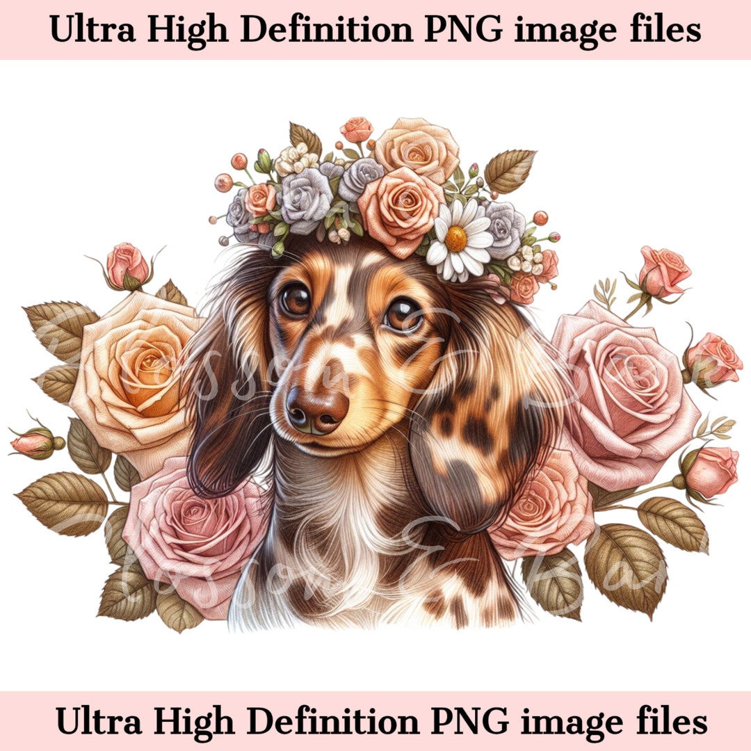 Digital Merle Dachshund PNG Flower Dog Art - Cute Dachshund Puppy PNG ...