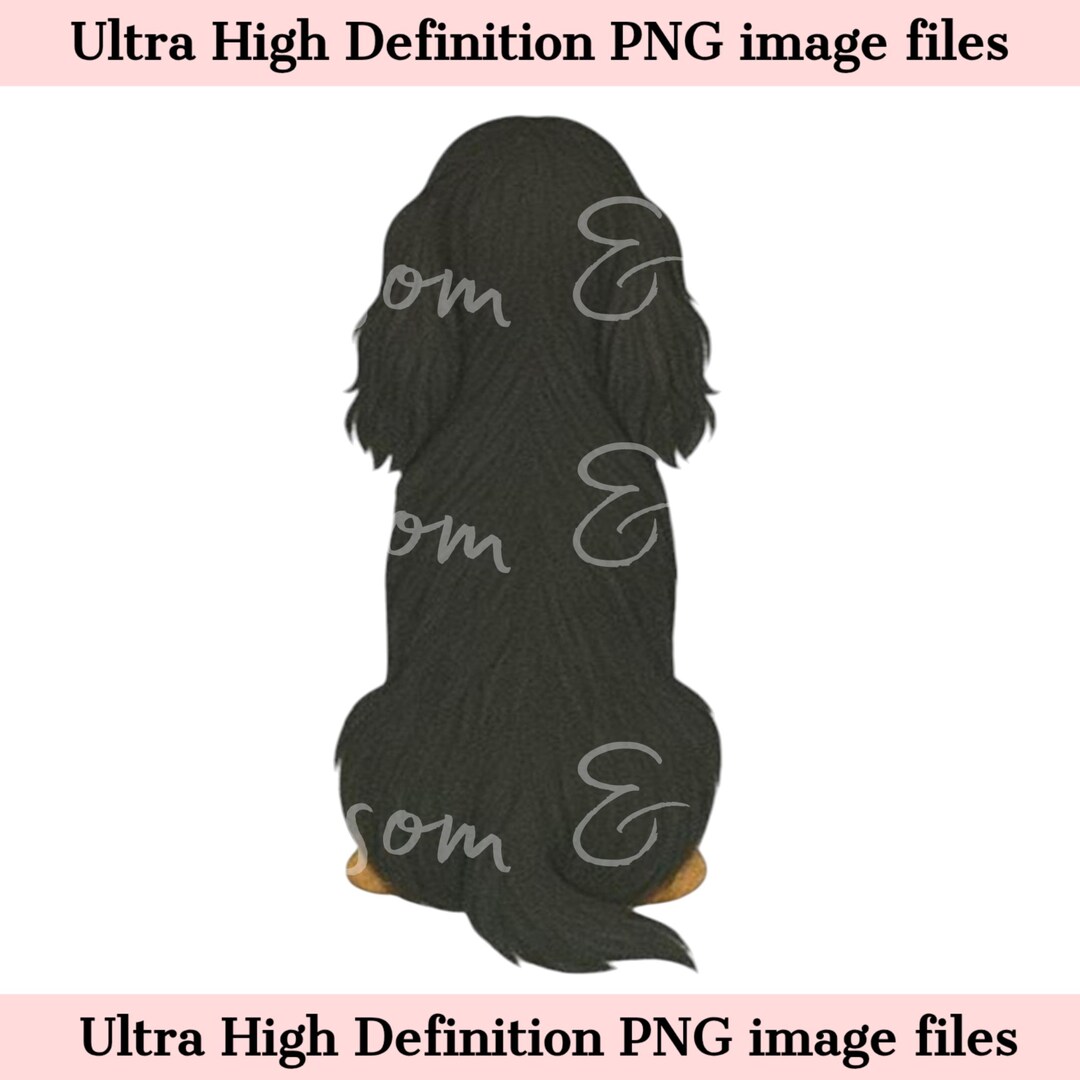 Digital - Back View Cocker Spaniel PNG Cocker Spaniel Dog Clipart for ...