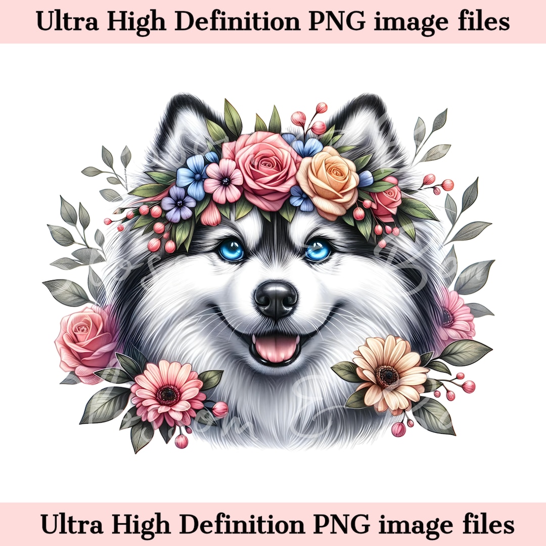 Digital Pomsky PNG Flower Dog Art - Cute Pomsky Puppy PNG Instant ...