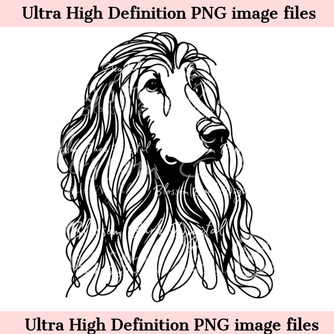 Digital Sketch Line Afghan Hound PNG File Beautiful Ink Line Art ...